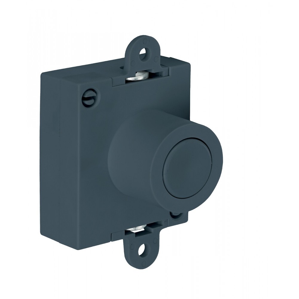 Serrure espagnolette 2 points Push Lock -axe 25 mm -réversible -gris ...